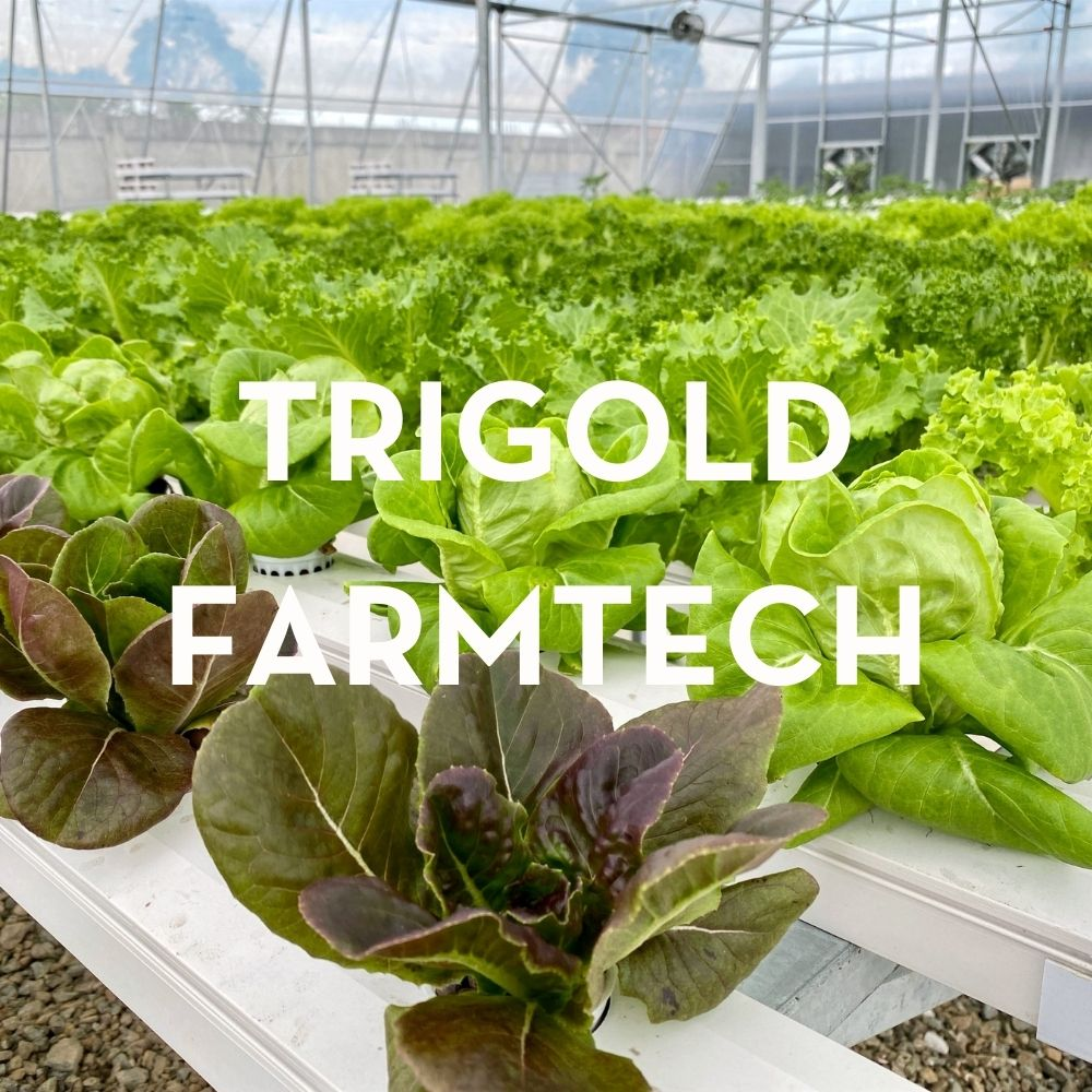 Trigold Farmtech